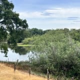 The Meadows Slough Trail, California - 391 Reviews, Map | AllTrails