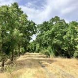 The Meadows Slough Trail, California - 384 Reviews, Map | AllTrails