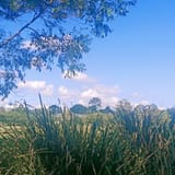 Kedron Brook Bikeway Full Route, Queensland, Australia - 112 Reviews ...
