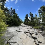 Mount Kearsarge via Winslow Trail, New Hampshire - 790 Reviews, Map ...