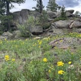 Independence Mountain Trail, Colorado - 5,176 Reviews, Map | AllTrails