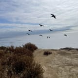 Sunset Cliffs Park Trail, California - 581 Reviews, Map | AllTrails