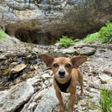 Community Caves Trail, South Dakota - 620 Reviews, Map | AllTrails