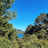 Lake Chabot Loop via West, Bass, Columbine, Honker, East Shore Trails ...