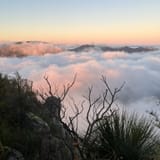 Mount Mitchell Trail, Queensland, Australia - 966 Reviews, Map | AllTrails