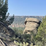 Rock Garden Trail, Texas - 1,066 Reviews, Map | AllTrails