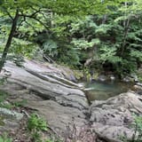 Whiteoak Canyon and Cedar Run Trail Loop, Virginia - 2,775 Reviews, Map ...