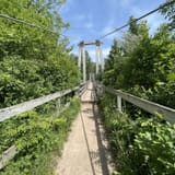 The Manistee River Loop Trail, Michigan - 1,946 Reviews, Map | AllTrails