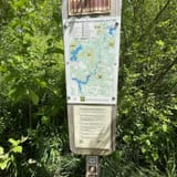 The Manistee River Loop Trail, Michigan - 2,090 Reviews, Map | AllTrails