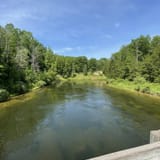 The Manistee River Loop Trail, Michigan - 2,090 Reviews, Map | AllTrails
