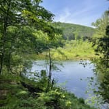 The Manistee River Loop Trail, Michigan - 1,946 Reviews, Map | AllTrails