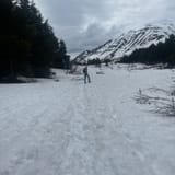 Carter Lake Trail, Alaska - 368 Reviews, Map | AllTrails