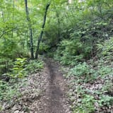 Sharps Ridge Loop Trail, Tennessee - 938 Reviews, Map | AllTrails