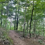 Sharps Ridge Loop Trail, Tennessee - 938 Reviews, Map | AllTrails