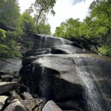 Daniel Ridge Loop, North Carolina - 1,963 Reviews, Map | AllTrails