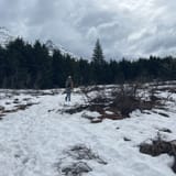 Carter Lake Trail, Alaska - 368 Reviews, Map | AllTrails