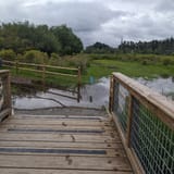 Mercer Slough Nature Park, Washington - 1,047 Reviews, Map | AllTrails