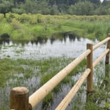 Mercer Slough Nature Park, Washington - 1,047 Reviews, Map | AllTrails