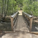 Dry Pond Loop, Nevada - 1,505 Reviews, Map | AllTrails