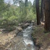 Dry Pond Loop, Nevada - 1,505 Reviews, Map | AllTrails