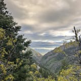 Lower Mill B North Fork Trail, Utah - 1,664 Reviews, Map | AllTrails