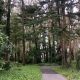 Bay Area Ridge Trail: San Francisco Presidio, California - 717 Reviews ...