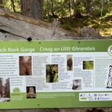 Black Rock Gorge and Evanton Wood, Highlands, Scotland - 27 Reviews ...