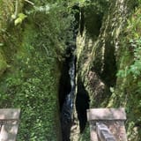 Black Rock Gorge and Evanton Wood, Highlands, Scotland - 27 Reviews ...