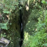 Black Rock Gorge and Evanton Wood, Highlands, Scotland - 27 Reviews ...