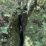 Black Rock Gorge and Evanton Wood, Highlands, Scotland - 27 Reviews ...