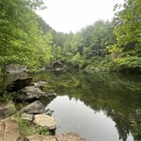 Pine Log Creek Trail, Georgia - 2,559 Reviews, Map | AllTrails