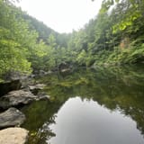 Pine Log Creek Trail, Georgia - 2,559 Reviews, Map | AllTrails
