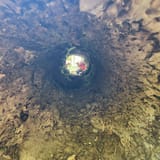 Wintergreen Gorge Trail, Pennsylvania - 586 Reviews, Map | AllTrails