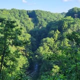 Wintergreen Gorge Trail, Pennsylvania - 586 Reviews, Map | AllTrails