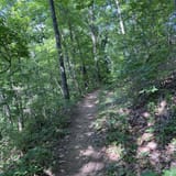 Sharps Ridge Loop Trail, Tennessee - 938 Reviews, Map | AllTrails