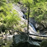 Hamilton Falls Trail, Vermont - 687 Reviews, Map | AllTrails