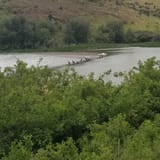 Link River Trail, Oregon - 559 Reviews, Map | AllTrails