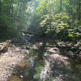 Adam Run Trail, Ohio - 2,286 Reviews, Map | AllTrails