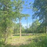 Adam Run Trail, Ohio - 2,286 Reviews, Map | AllTrails