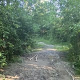 Adam Run Trail, Ohio - 2,286 Reviews, Map | AllTrails