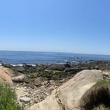 Black Point Trail, Rhode Island - 840 Reviews, Map | AllTrails