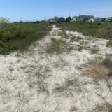 Black Point Trail, Rhode Island - 849 Reviews, Map | AllTrails