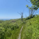 Black Point Trail, Rhode Island - 727 Reviews, Map | AllTrails
