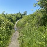 Black Point Trail, Rhode Island - 727 Reviews, Map | AllTrails