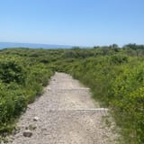 Black Point Trail, Rhode Island - 727 Reviews, Map | AllTrails