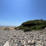 Black Point Trail, Rhode Island - 849 Reviews, Map | AllTrails