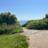 Black Point Trail, Rhode Island - 849 Reviews, Map | AllTrails