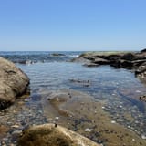 Black Point Trail, Rhode Island - 849 Reviews, Map | AllTrails