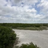 Oso Bay Wetlands Preserve, Texas - 384 Reviews, Map | AllTrails