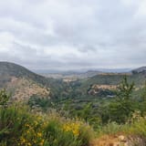 Lake Hodges Overlook Trail, California - 3,138 Reviews, Map | AllTrails